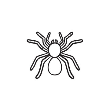 Spider Clipart Outline