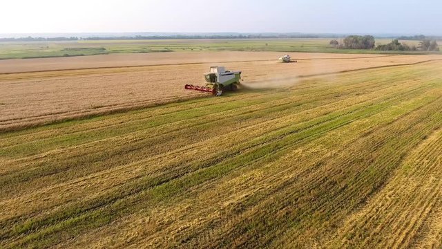 Agronomy Video Footage – Browse 99,968 HD Stock Video and Footage ...