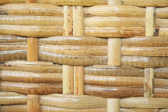 Calameae Images – Browse 38 Stock Photos, Vectors, and Video | Adobe Stock