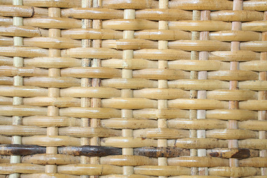 Calameae Images – Browse 28 Stock Photos, Vectors, and Video | Adobe Stock