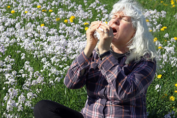 Fotos, lizenzfreie Bilder, Grafiken, Vektoren und Videos von Pollinose ...