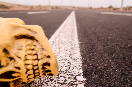 "Road Skull" Images – Browse 68 Stock Photos, Vectors, and Video ...