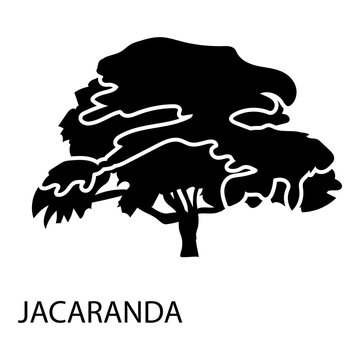 Imágenes de Jacaranda: descubre bancos de fotos, ilustraciones ...