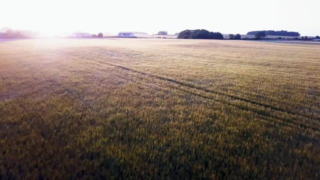 "Hay Fields" Images – Browse 499 Stock Photos, Vectors, and Video | Adobe Stock
