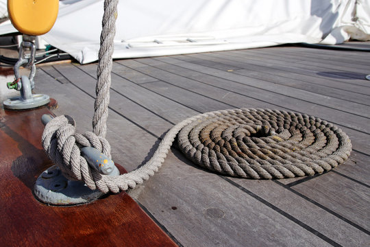 Trosse bilder – Bläddra bland 333 stockfoton, vektorer och videor ...