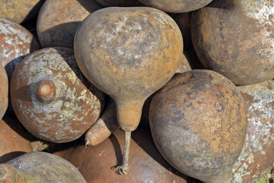 Arvore-De-Cuia Images – Browse 3 Stock Photos, Vectors, and Video ...