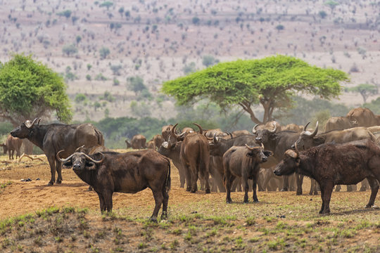 Herf Bilder – Durchsuchen 115 Archivfotos, Vektorgrafiken und Videos ...