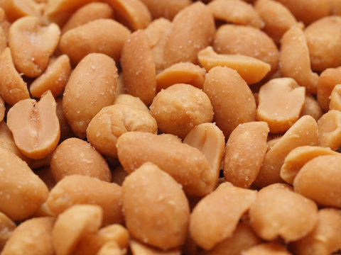 Nutlet Bilder – Durchsuchen 2,682 Archivfotos, Vektorgrafiken und ...