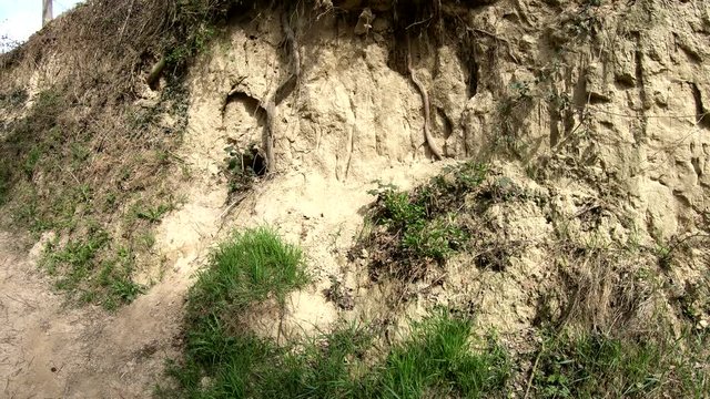 Bicken Bilder – Durchsuchen 57 Archivfotos, Vektorgrafiken und Videos ...