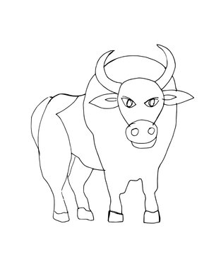 Bull Outline