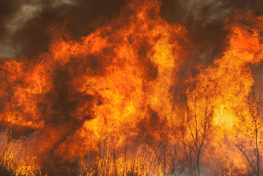 รูปภาพConflagration – เลือกดูภาพถ่ายสต็อก เวกเตอร์ และวิดีโอ123,963 ...