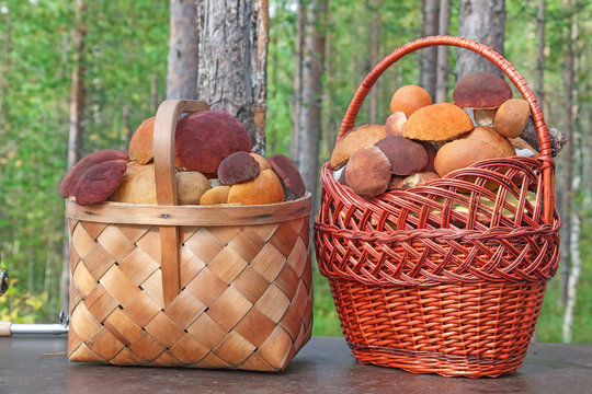 Busket Images – Parcourir 2,330 le catalogue de photos, vecteurs et ...