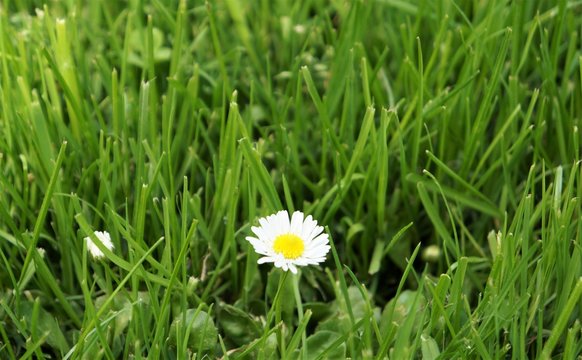 Rinsal Bilder – Durchsuchen 86 Archivfotos, Vektorgrafiken und Videos ...