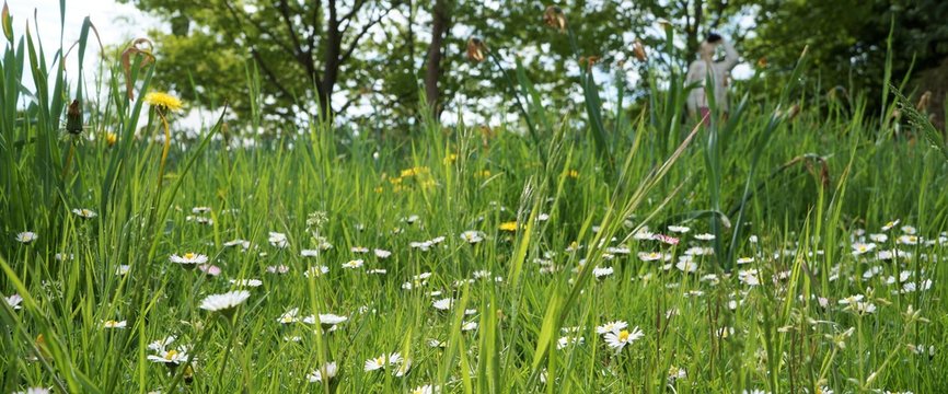 Rinsal Bilder – Durchsuchen 86 Archivfotos, Vektorgrafiken und Videos ...