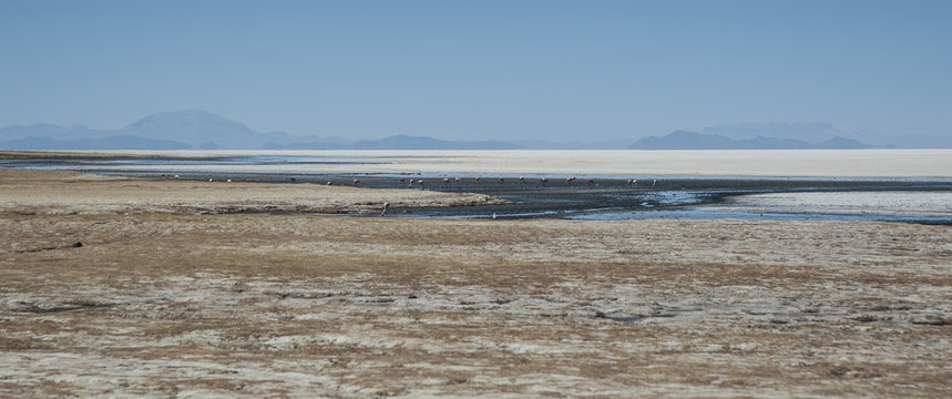 Imagens de Coquesa – Explore Fotografias do Stock, Vetores e Vídeos de ...