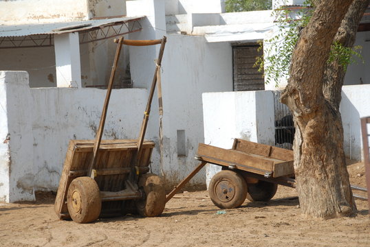 55 BEST Gaushala IMAGES, STOCK PHOTOS & VECTORS | Adobe Stock