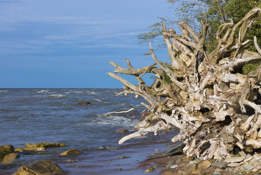 Ontika Images – Browse 43 Stock Photos, Vectors, and Video | Adobe Stock