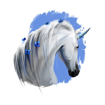 Indrik Images – Browse 28 Stock Photos, Vectors, and Video | Adobe Stock