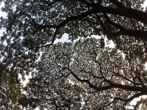 "Monotone Background" Images – Browse 351 Stock Photos, Vectors, and ...