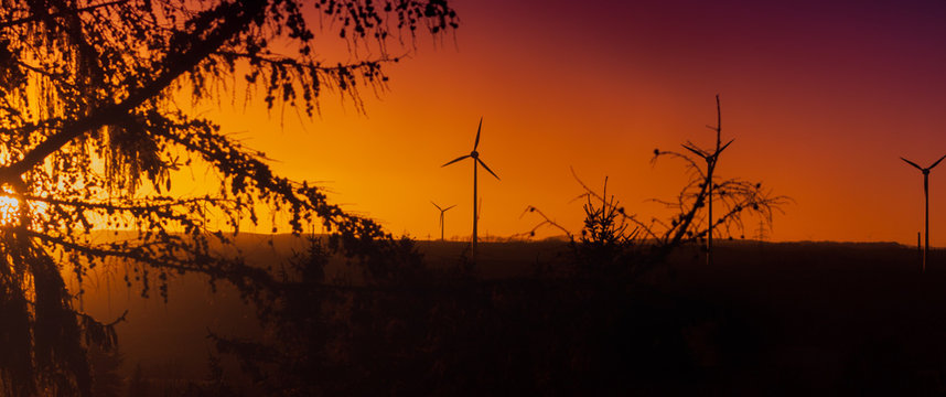 Winrad Bilder – Durchsuchen 62 Archivfotos, Vektorgrafiken und Videos ...