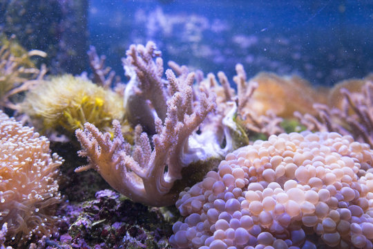 รูปภาพCondy – เลือกดูภาพถ่ายสต็อก เวกเตอร์ และวิดีโอ102 | Adobe Stock