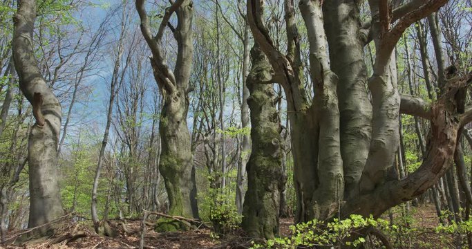 Defrostation Bilder – Durchsuchen 36 Archivfotos, Vektorgrafiken und ...