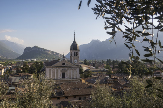 Haustrum Bilder – Durchsuchen 194 Archivfotos, Vektorgrafiken und ...