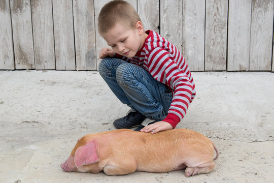 galitsin photos, images, assets | Adobe Stock