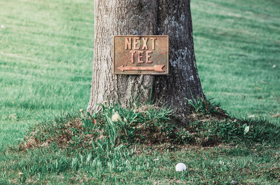 "Next Tee" 이미지 – 찾아보기 148 스톡 사진, 벡터 및 비디오 | Adobe Stock