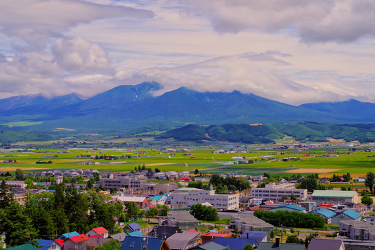 รูปภาพFurano – เลือกดูภาพถ่ายสต็อก เวกเตอร์ และวิดีโอ4,309 | Adobe Stock
