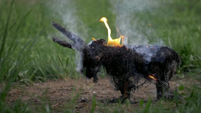 Blasphemy 影像 – 瀏覽 1,294 個素材庫相片、向量圖和影片 | Adobe Stock