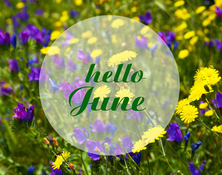 Hello June Facebook Cover