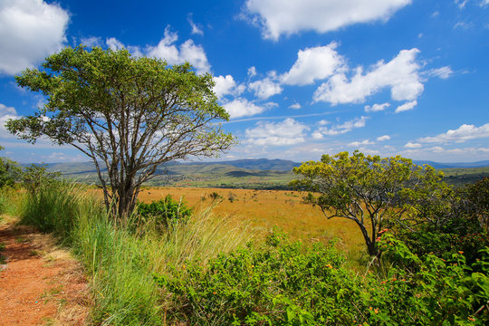 รูปภาพBushveld – เลือกดูภาพถ่ายสต็อก เวกเตอร์ และวิดีโอ12,634 | Adobe Stock