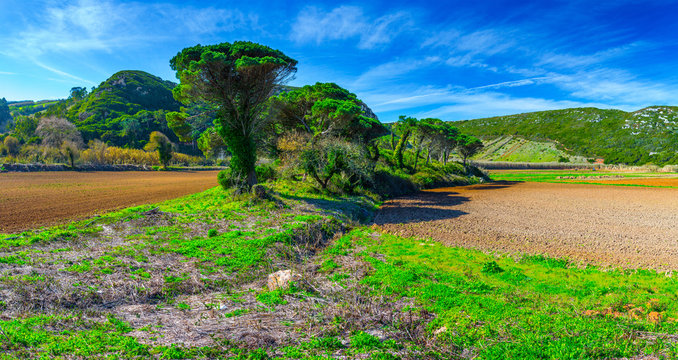 Vimeiro Images – Browse 35 Stock Photos, Vectors, and Video | Adobe Stock