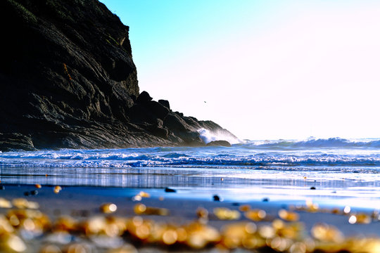 Costal Images – Browse 9,229 Stock Photos, Vectors, and Video | Adobe Stock