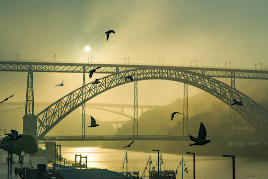 「Haisy」の画像 - 9 件の Stock 写真、ベクターおよびビデオ | Adobe Stock