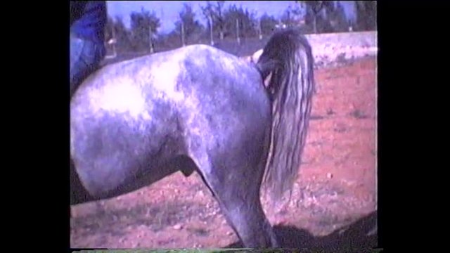 Kacken Stock-Videos – 2,389 HD- und 4K-Filmmaterial-Clips | Adobe Stock