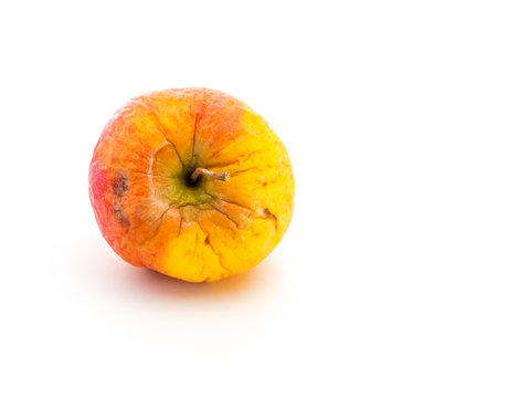 รูปภาพRunzelig – เลือกดูภาพถ่ายสต็อก เวกเตอร์ และวิดีโอ457 | Adobe Stock