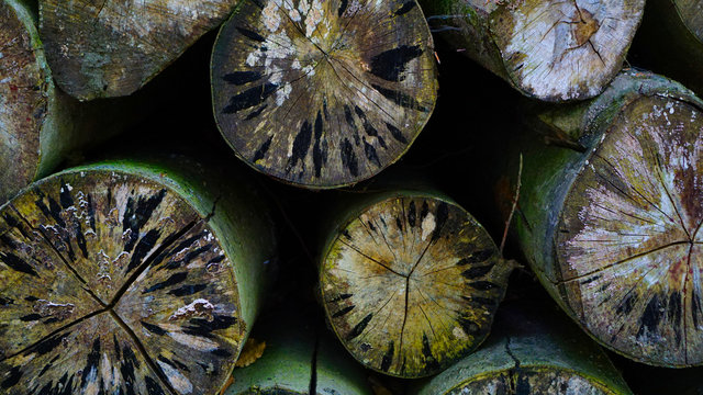 Rohmaterial bilder – Bläddra bland 888 stockfoton, vektorer och videor ...