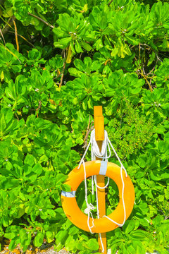 Simitis Images – Browse 2 Stock Photos, Vectors, and Video | Adobe Stock