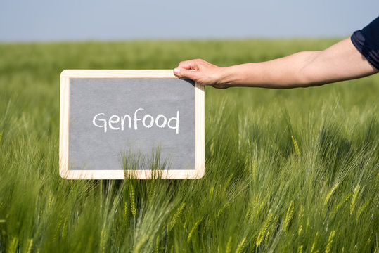 「Genfood」の写真素材 | 661件の無料イラスト画像 | Adobe Stock
