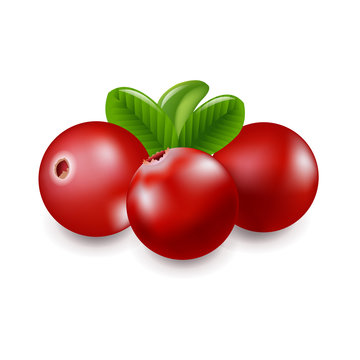 Granberry Images – Browse 57 Stock Photos, Vectors, and Video | Adobe Stock