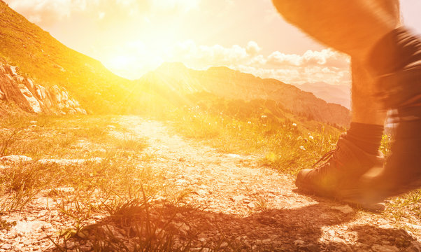 Wanderer Images – Browse 734,834 Stock Photos, Vectors, and Video ...