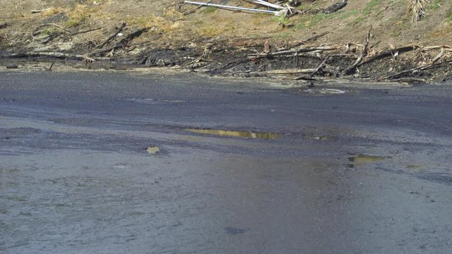 "La Brea Tar Pits" Images – Browse 137 Stock Photos, Vectors, and Video ...