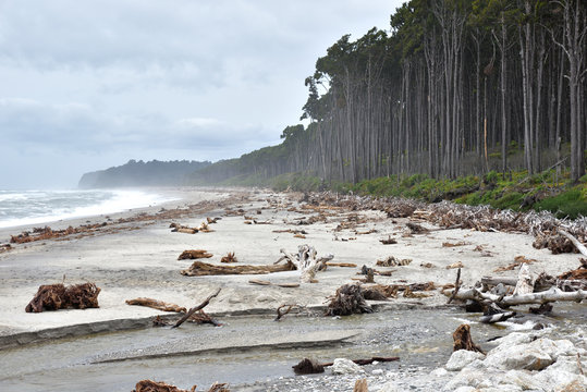 "Bruce Bay" Images – Browse 128 Stock Photos, Vectors, and Video ...