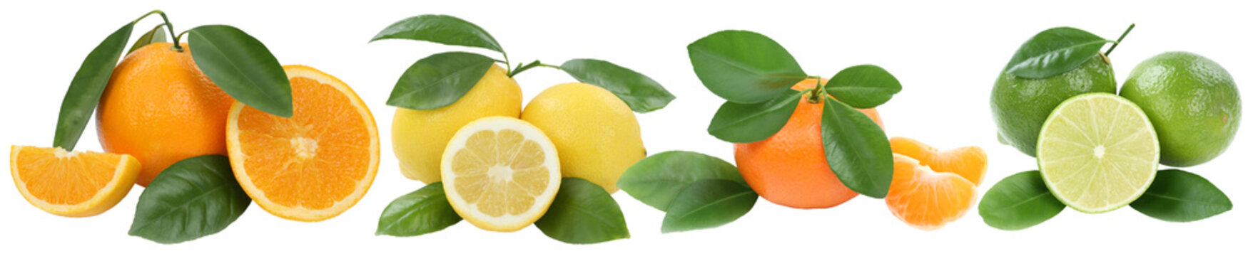 Zitrone Images – Browse 39,913 Stock Photos, Vectors, and Video | Adobe ...