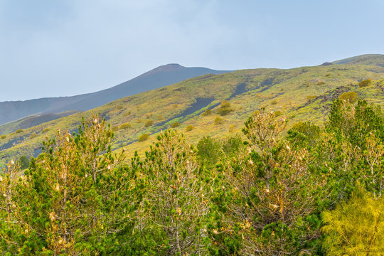 Lopolith Images – Browse 53 Stock Photos, Vectors, and Video | Adobe Stock