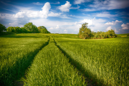 รูปภาพ"Feld – เลือกดูภาพถ่ายสต็อก เวกเตอร์ และวิดีโอ692,712 | Adobe Stock