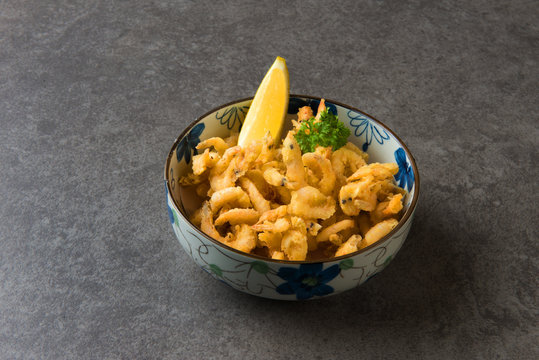 Koebi Bilder – Durchsuchen 35 Archivfotos, Vektorgrafiken und Videos ...