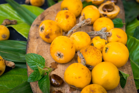 Mushmula Images – Browse 60 Stock Photos, Vectors, and Video | Adobe Stock